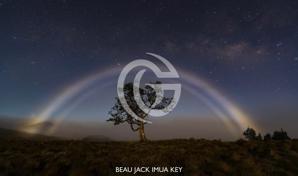 MoonBeau – Gupton Gallery