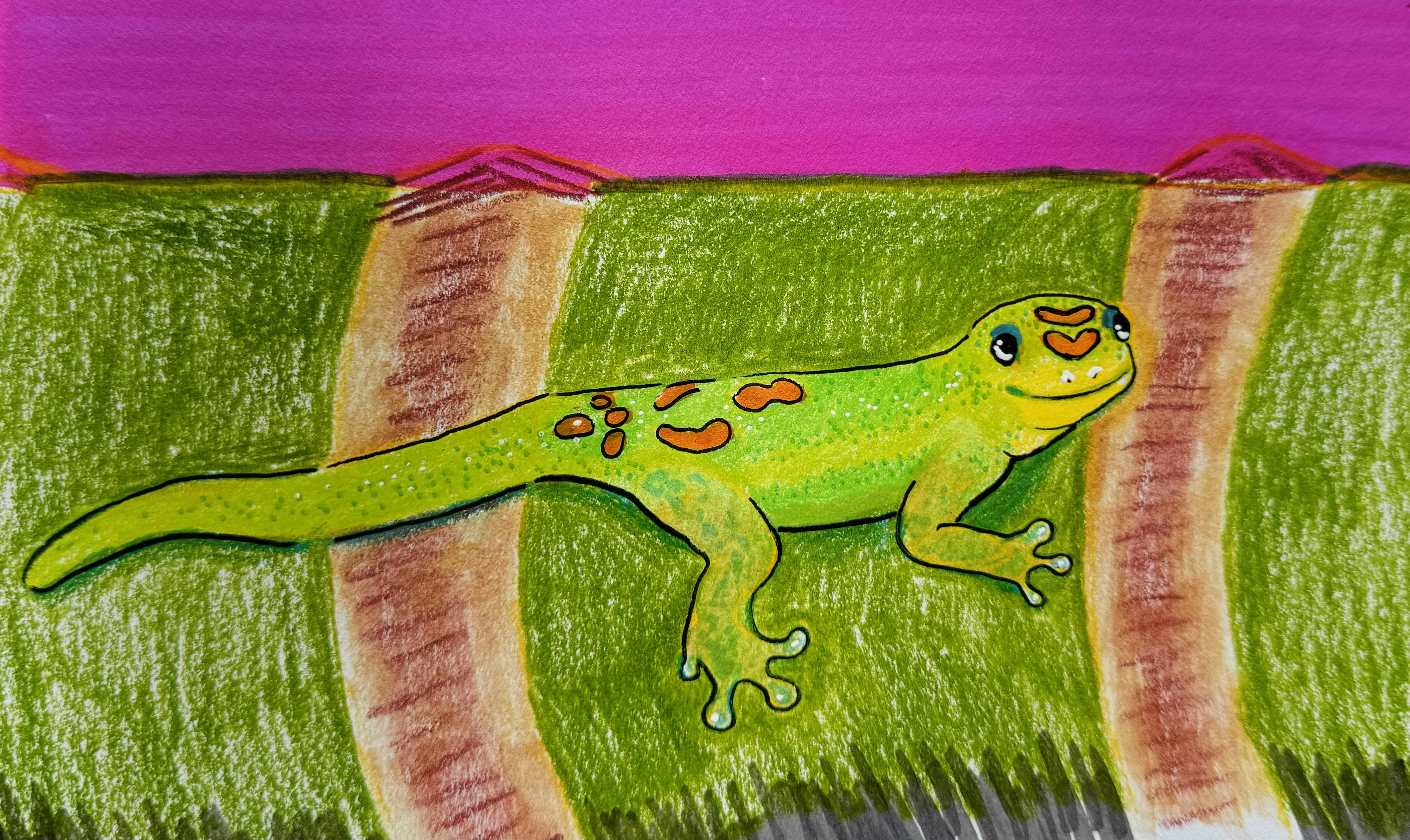 Paper Print - Freckles – Gupton Gallery