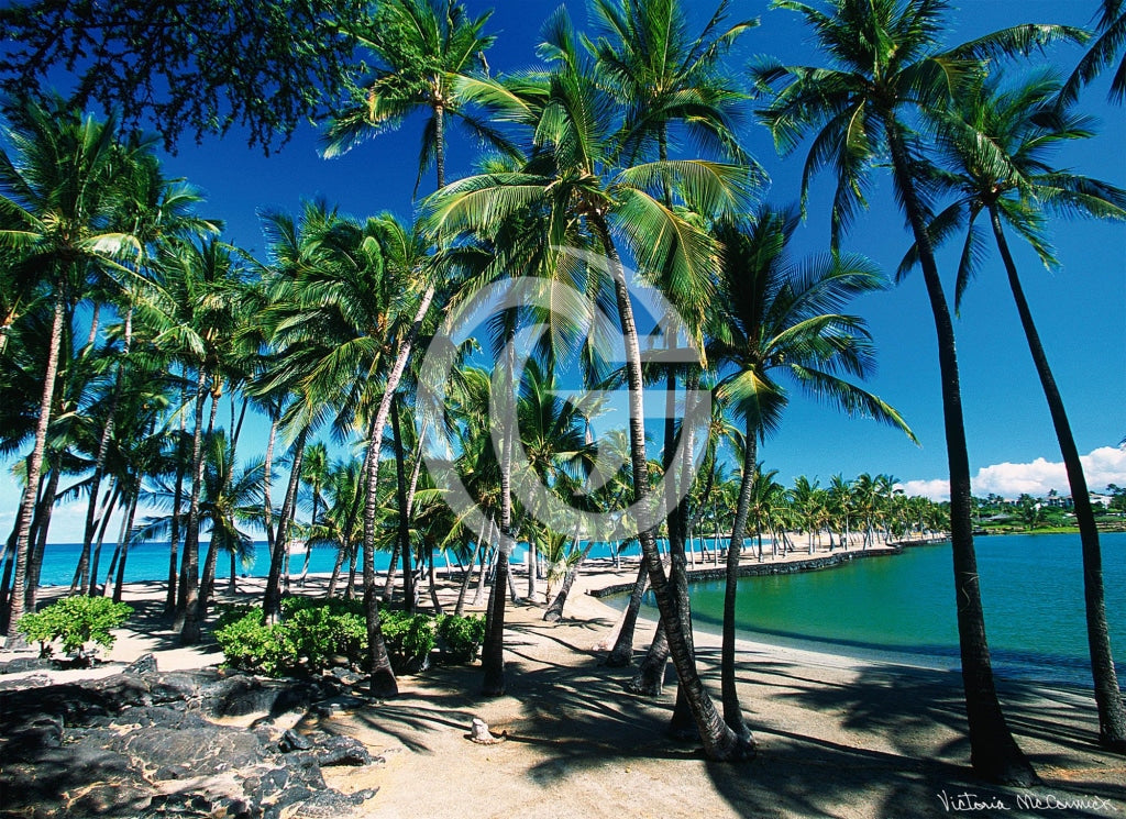 Acrylic Print - Anaehoomalu Fish Ponds – Gupton Gallery