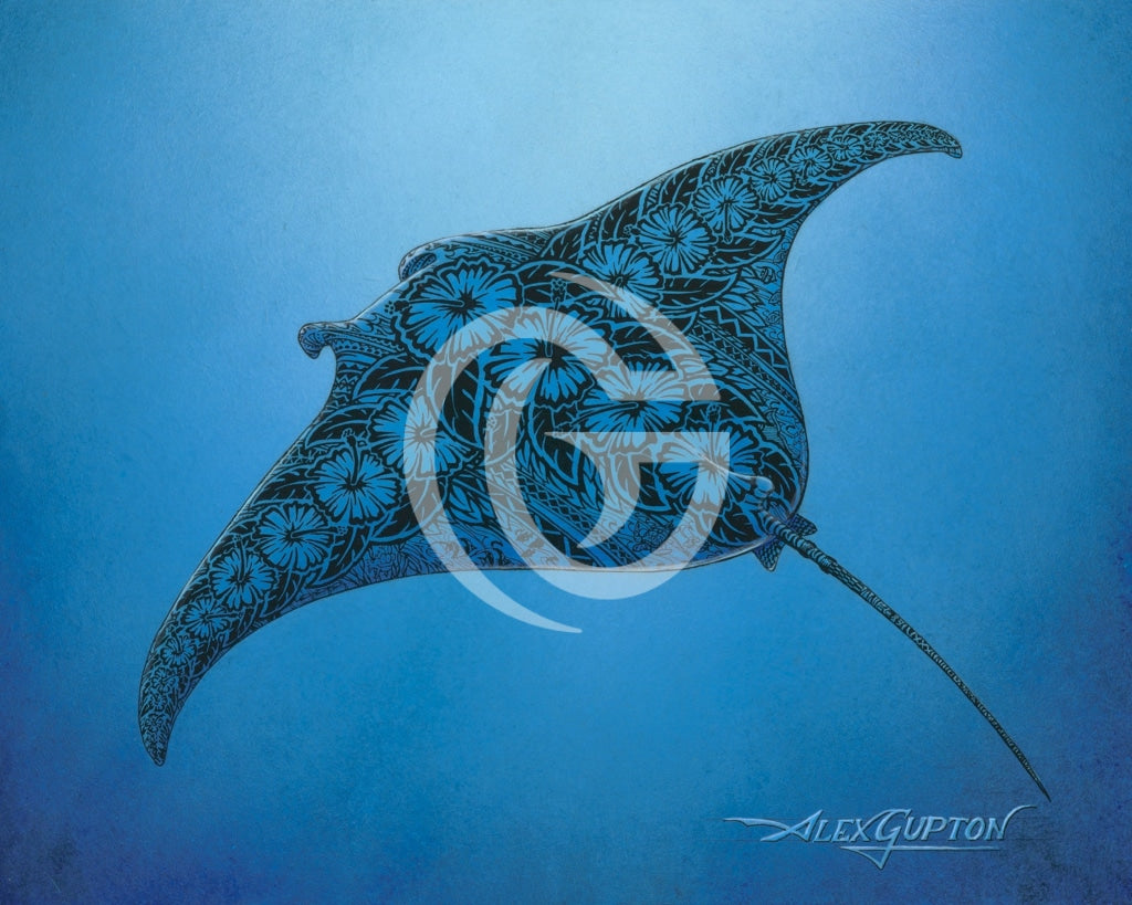 11x14 Paper Prints - Flying Through the Sea – Gupton Gallery