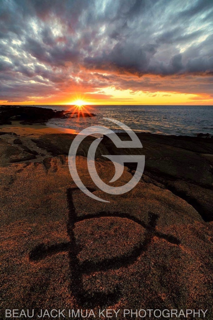 Honu Petroglyph – Gupton Gallery