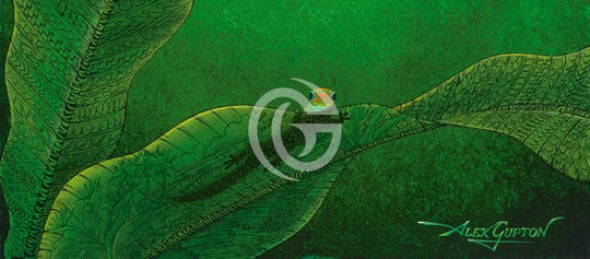 The Lookout – Gupton Gallery